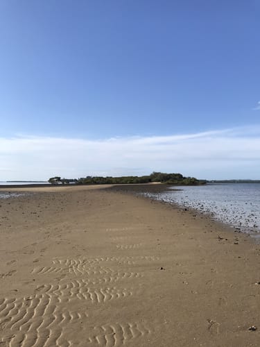 Best Hikes and Trails in King Island Conservation Park | AllTrails