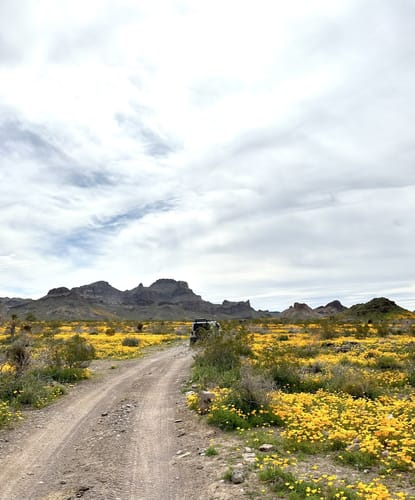Best Hikes and Trails in Bullhead City | AllTrails