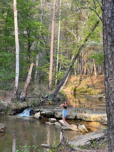 Best Hikes and Trails in Angelina National Forest | AllTrails