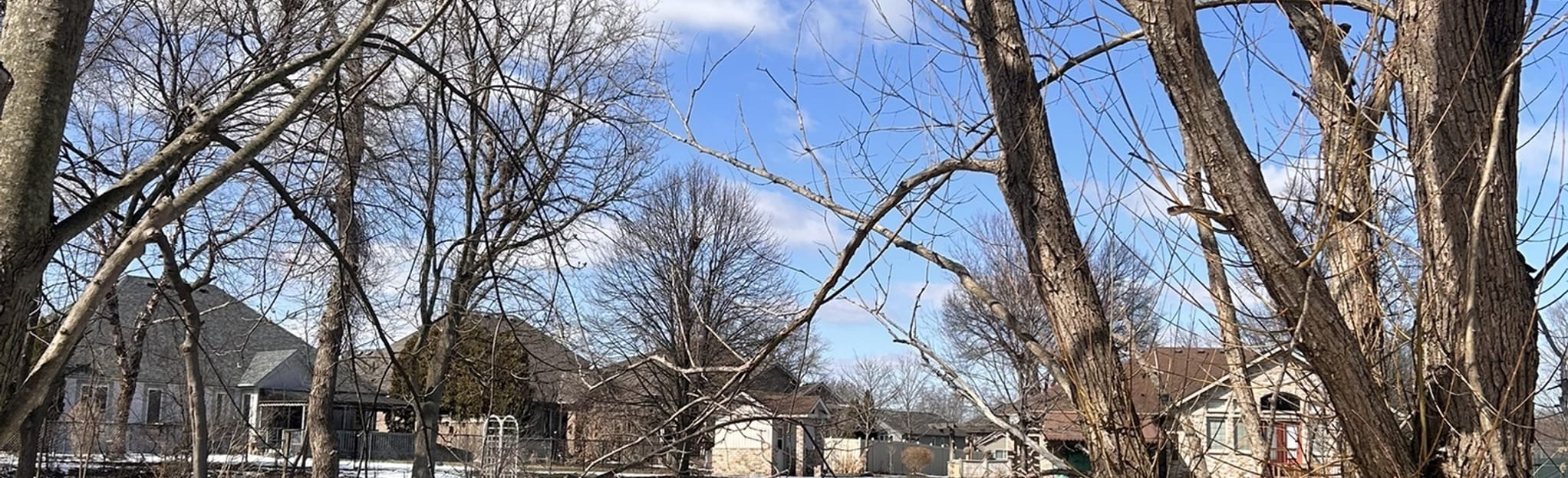 Stanton Woods Loop, Ontario, Canada - 63 Reviews, Map | AllTrails