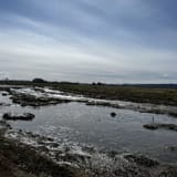 Padilla Bay Trail, Washington - 567 Reviews, Map | AllTrails