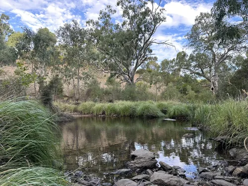 Best Long Trails in Onkaparinga River National Park | AllTrails