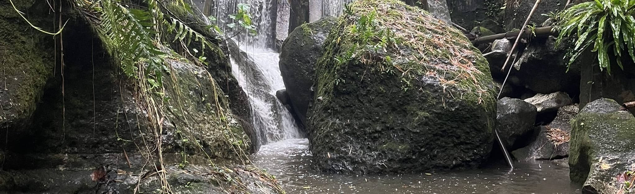 Geus River and Falls, Santa Rita, Guam - 3 Reviews, Map | AllTrails