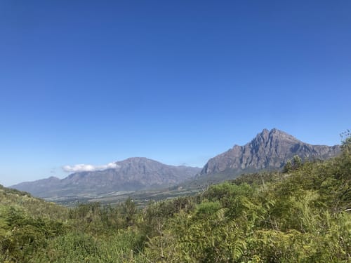 2023 Best Wild Flowers Trails in Witzenberg NU | AllTrails