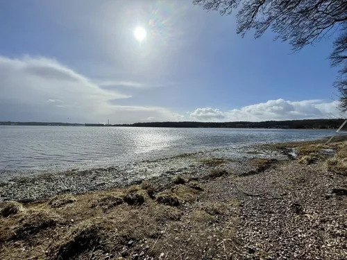 Best Hikes and Trails in Kollund Skov | AllTrails