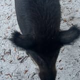 Three Lakes Loop, Florida - 265 Reviews, Map | AllTrails