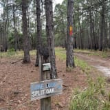 Three Lakes Loop, Florida - 265 Reviews, Map | AllTrails