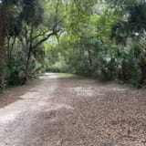 Graham Swamp Trail, Florida - 358 Reviews, Map | AllTrails