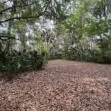 Graham Swamp Trail, Florida - 358 Reviews, Map | AllTrails