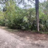 Graham Swamp Trail, Florida - 358 Reviews, Map | AllTrails