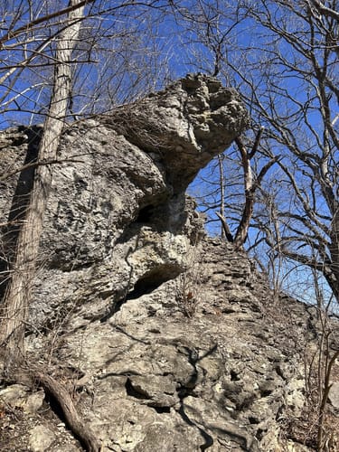 Best Hikes and Trails in Hanging Rock National Natural Landmark | AllTrails