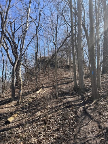 Best Hikes and Trails in Hanging Rock National Natural Landmark | AllTrails