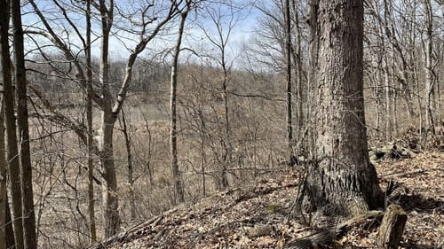 Best Hikes and Trails in Kennekuk Cove County Park | AllTrails