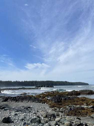 Best 10 Hikes and Trails in Cape Scott Provincial Park | AllTrails