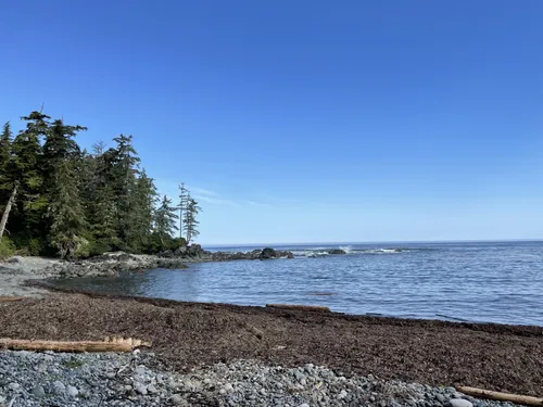 Best Long Trails in Cape Scott Provincial Park | AllTrails