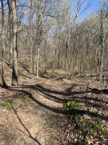Best Hikes and Trails in Nesbit Park | AllTrails