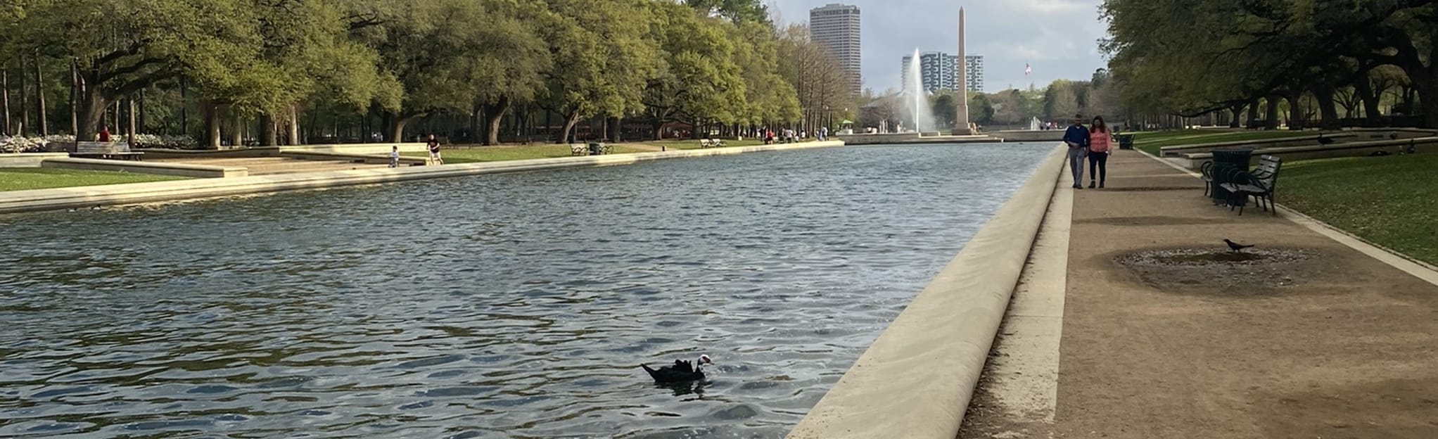 Hermann Park Trail: 177 foto's - Texas | AllTrails