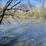 Murfreesboro Greenway System , Tennessee - 682 Reviews, Map | AllTrails