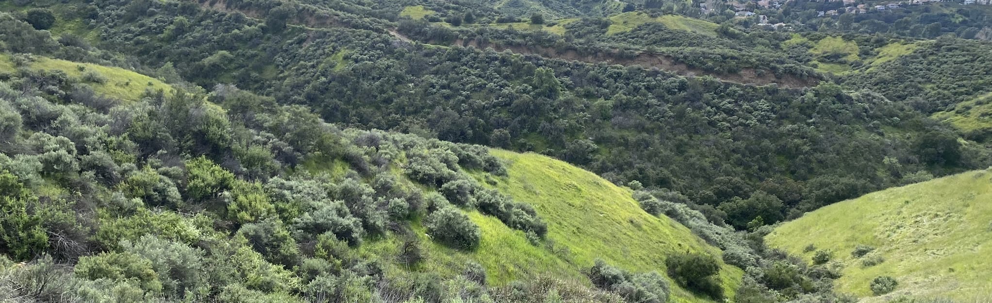 Hart Trail, California - 279 Reviews, Map | AllTrails