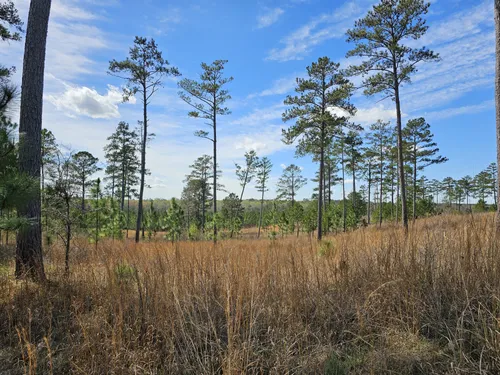 Best Hikes and Trails in Forever Wild Wehle Tract Nature Preserve and ...