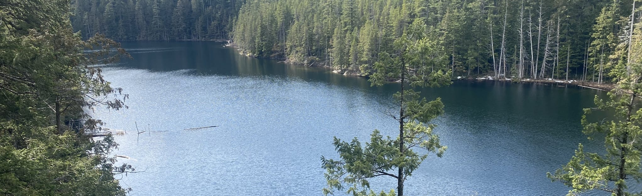 Brohm Creek Trail: 9 Reviews, Map - British Columbia, Canada | AllTrails