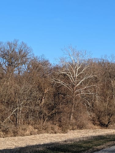 Best Hikes and Trails in Little Blue Trace County Park | AllTrails