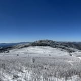 Mount Rogers Trail, Virginia - 438 Reviews, Map | AllTrails