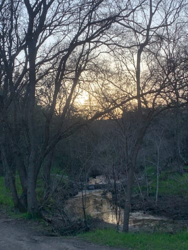 Best Hikes and Trails in Johnson Springview Park | AllTrails