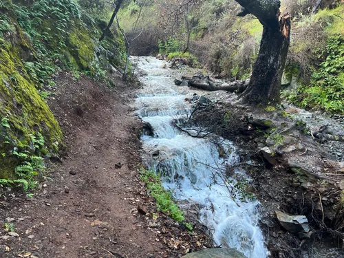 10 Best Waterfall Trails in Mount Diablo State Park | AllTrails