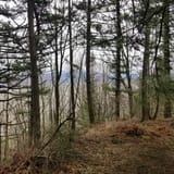 Ledgeview Extended Loop, British Columbia, Canada - 168 Reviews, Map ...