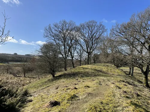 10 bedste ruter og vandreture i Bjerringbro | AllTrails