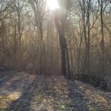 Pyramid State Park Loop Trail, Illinois - 235 Reviews, Map | AllTrails