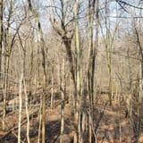 Pyramid State Park Loop Trail, Illinois - 235 Reviews, Map | AllTrails