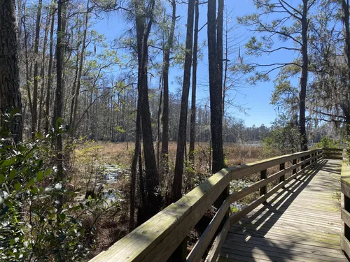 10 Best Hikes and Trails in Goethe State Forest | AllTrails