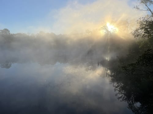 Best Hikes and Trails in Graham Swamp Conservation Area | AllTrails