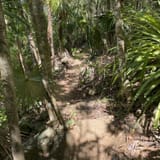 Magens Bay Beach Trail, Saint Thomas, US Virgin Islands - 342 Reviews ...