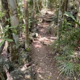 Magens Bay Beach Trail, Saint Thomas, US Virgin Islands - 342 Reviews ...