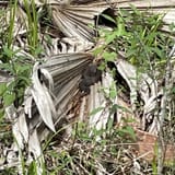 Graham Swamp Trail, Florida - 358 Reviews, Map | AllTrails