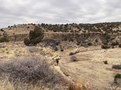 Best Hikes and Trails in Pritchett | AllTrails