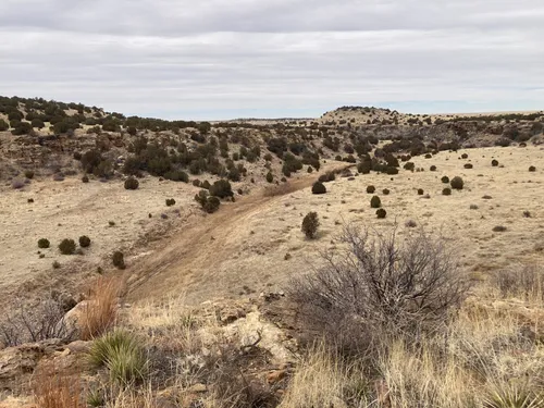 Best Hikes and Trails in Pritchett | AllTrails