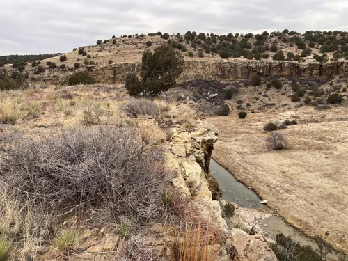 Best Hikes and Trails in Pritchett | AllTrails