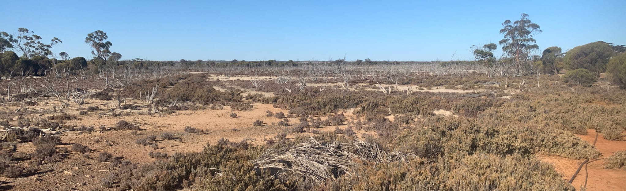 Wave Rock and Lake Magic Loop Walk | Map, Guide - Western Australia ...