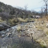 Proctor Road Nature Trail, Arizona - 316 Reviews, Map | AllTrails