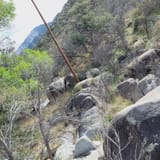 Proctor Road Nature Trail, Arizona - 316 Reviews, Map | AllTrails