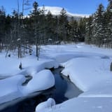 Great Glen Trails, New Hampshire - 340 Reviews, Map | AllTrails