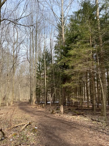 Best Hikes and Trails in Hubbard Valley Park | AllTrails