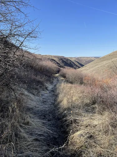 Best Hikes and Trails in Redbird Canyon Wildlife Management Area ...