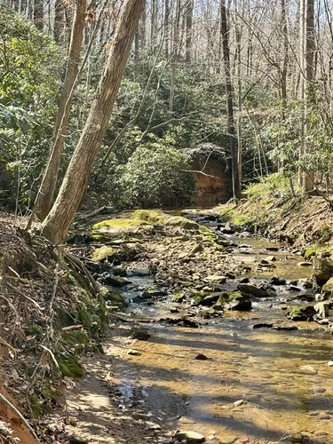 Best Hikes and Trails in Doe Run Park | AllTrails