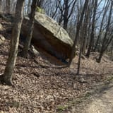 Upper Guild Trail, Tennessee - 481 Reviews, Map | AllTrails