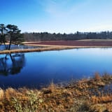Island Loop Trail, Massachusetts - 155 Reviews, Map | AllTrails